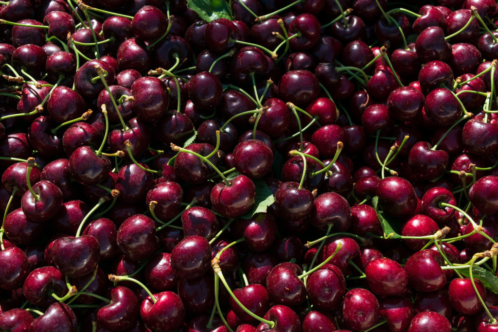 Cherries Archives - Stemilt Core