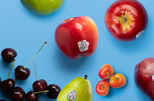 About Stemilt - Stemilt Core