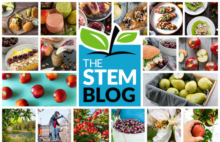 Apples Archives - Stemilt Core