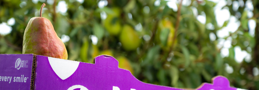 Happi Pear Archives - Stemilt Core